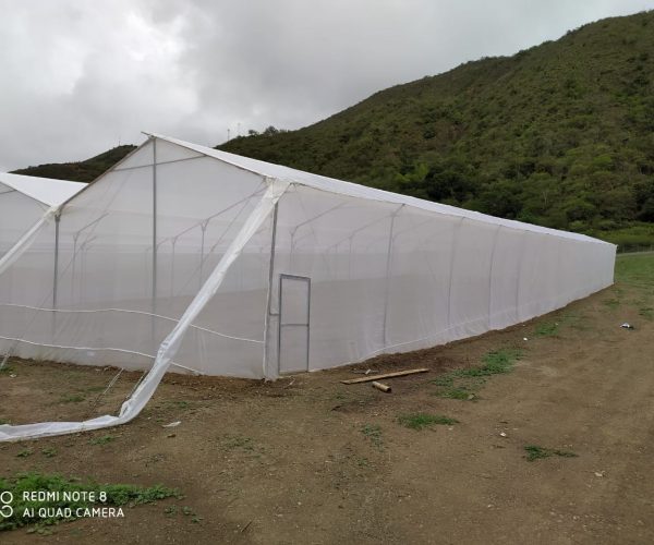 Malla antitrips 50 mesh – Euromallas